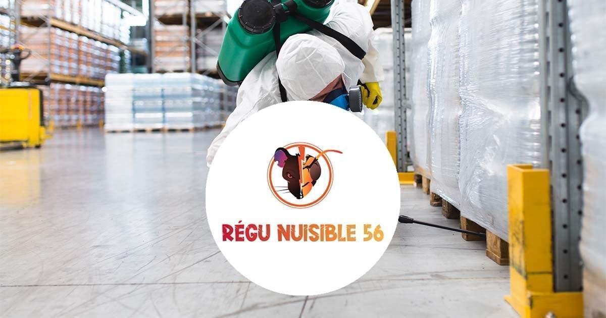 Entreprise dératisation et désinsectisation Auray - REGU NUISIBLE 56